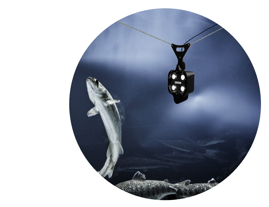 Aquaculture Farming Technology and Platform [Falcon Biomass]