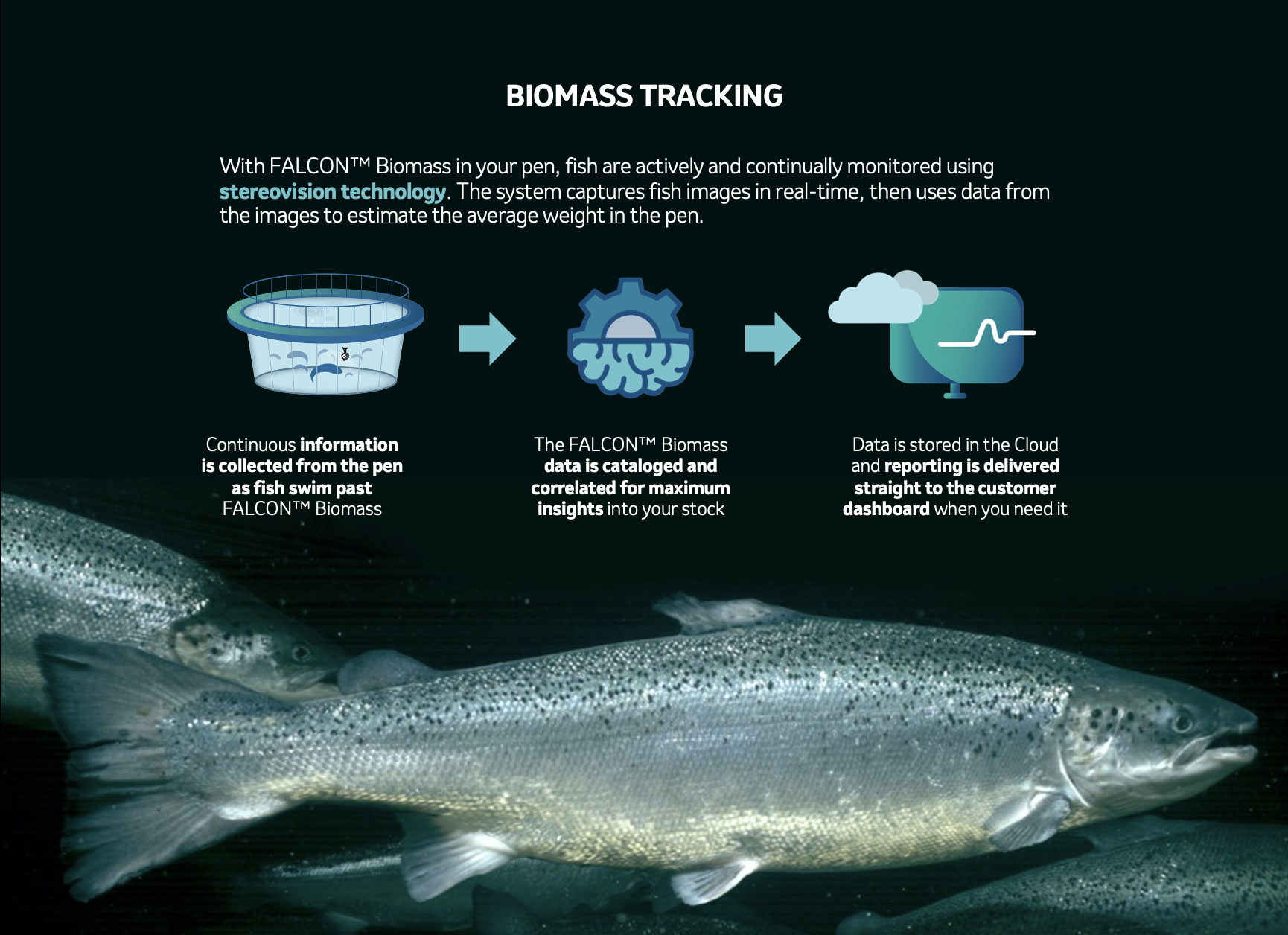 Falcon™ Biomass: Enhance Efficiency in Production Output