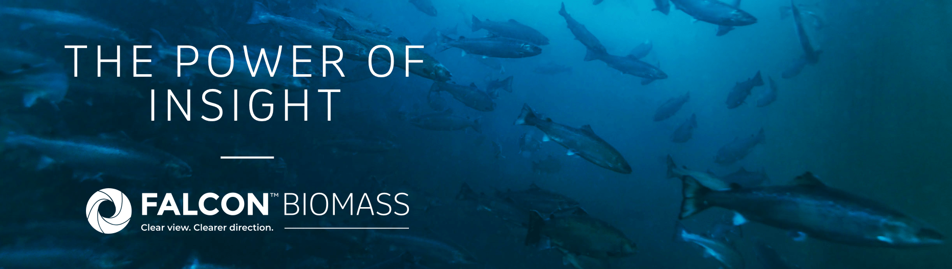 Biomass Estimation & Future of Aquaculture [Falcon Biomass]